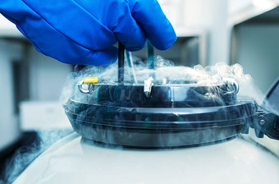 Video: Embryo Cryopreservation Inside the IVF Lab | Shady Grove Fertility