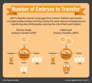 Donor Egg Success Rates FAQs
